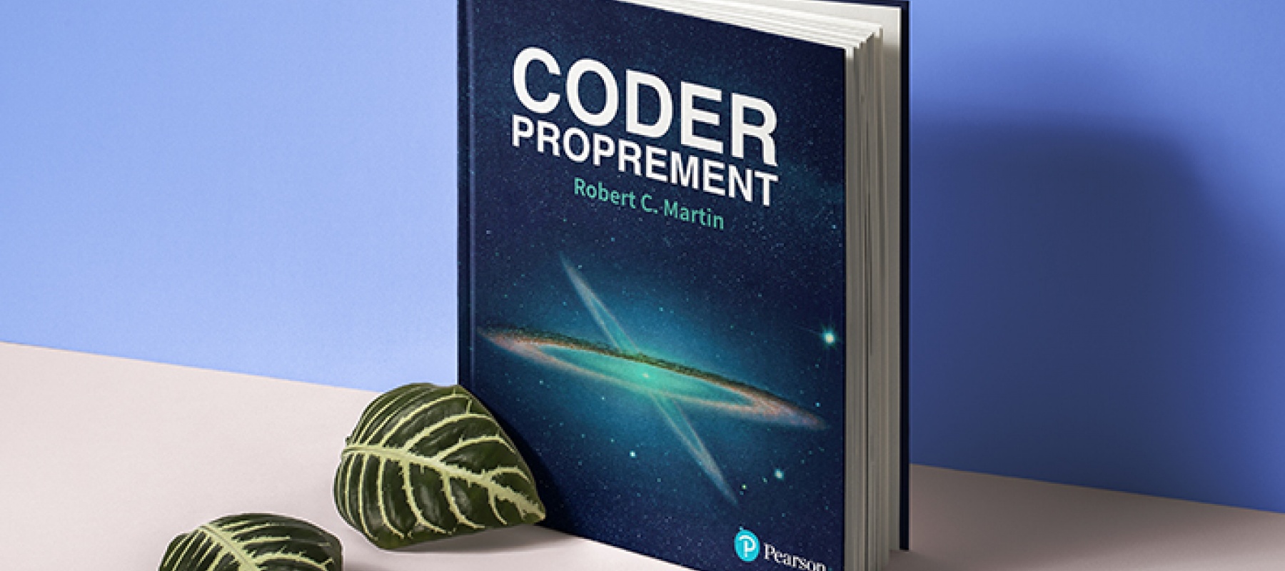 Livre “Coder Proprement” : 6 règles pour un nommage optimal